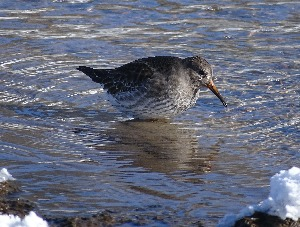 Gallery Archives - ZCCC: Z Car Club of Colorado